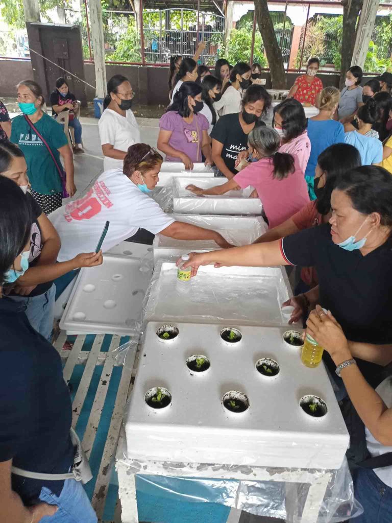 “Gulayan sa Paaralan” Muzon National High School – Mega Packaging ...